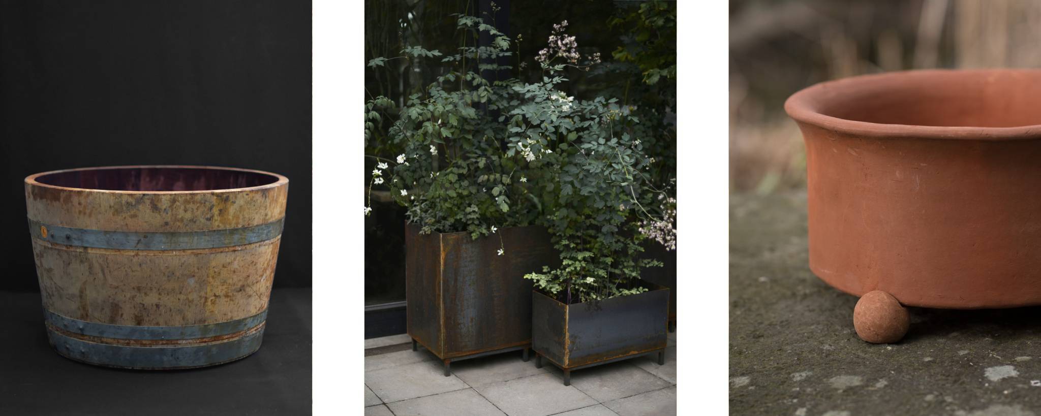 Plantera träd och större växter i kruka - kruka.nu